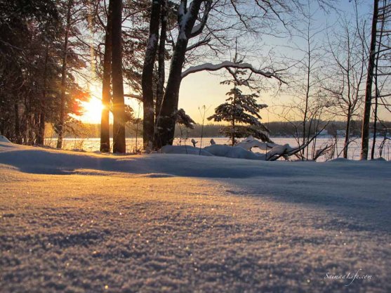 Take a short walk outside alone - SaimaaLife