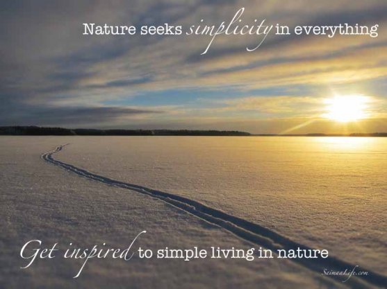 Nature Inspires To Simplicity - SaimaaLife