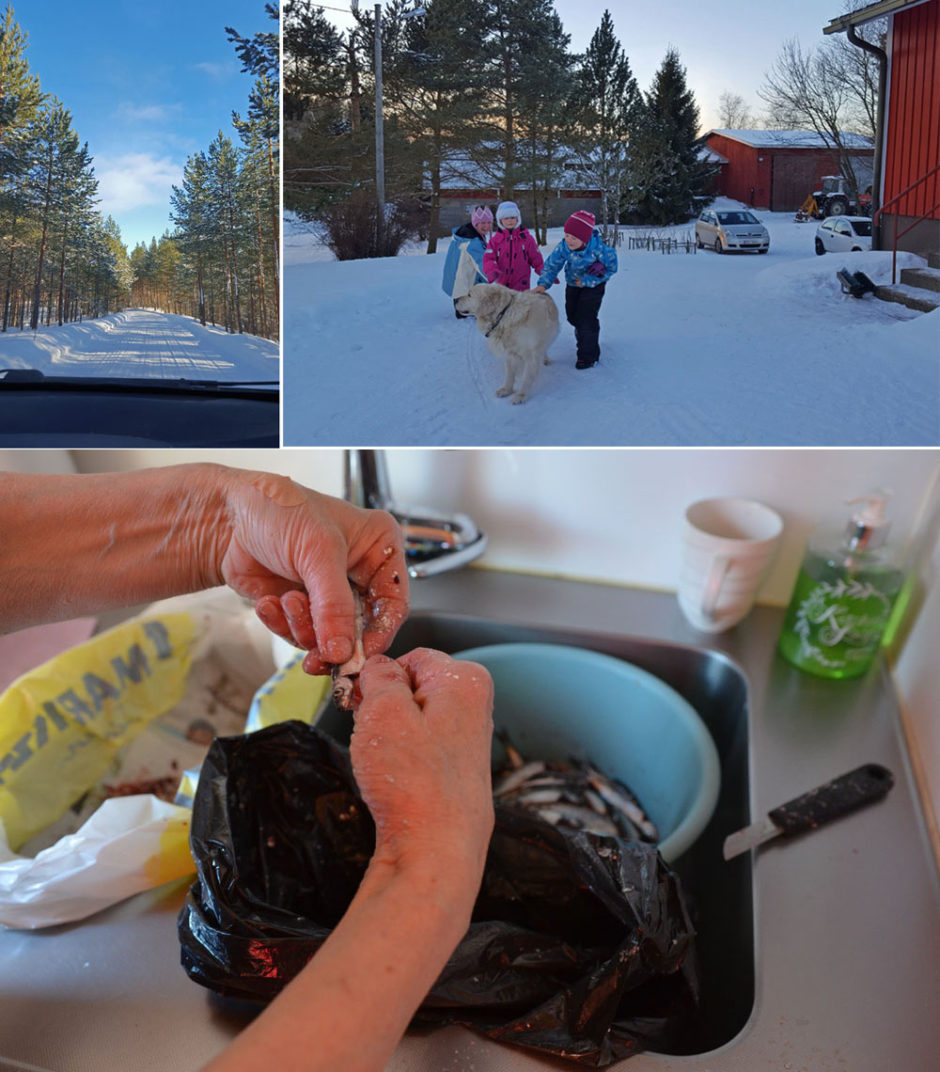 How to experience local life in Finnish Lakeland - SaimaaLife.com