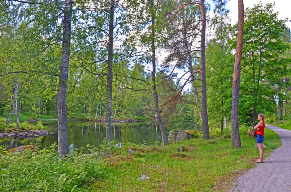 Enonkoski - A Silent Treasure in a Loud World - SaimaaLife