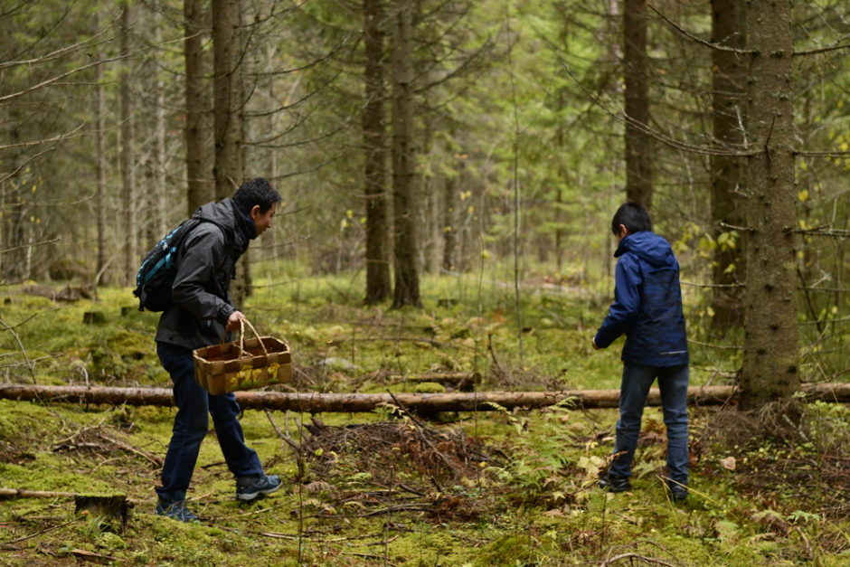 Japanese Forest Bathing -Shinrin-yoku- with a Finnish Twist - SaimaaLife