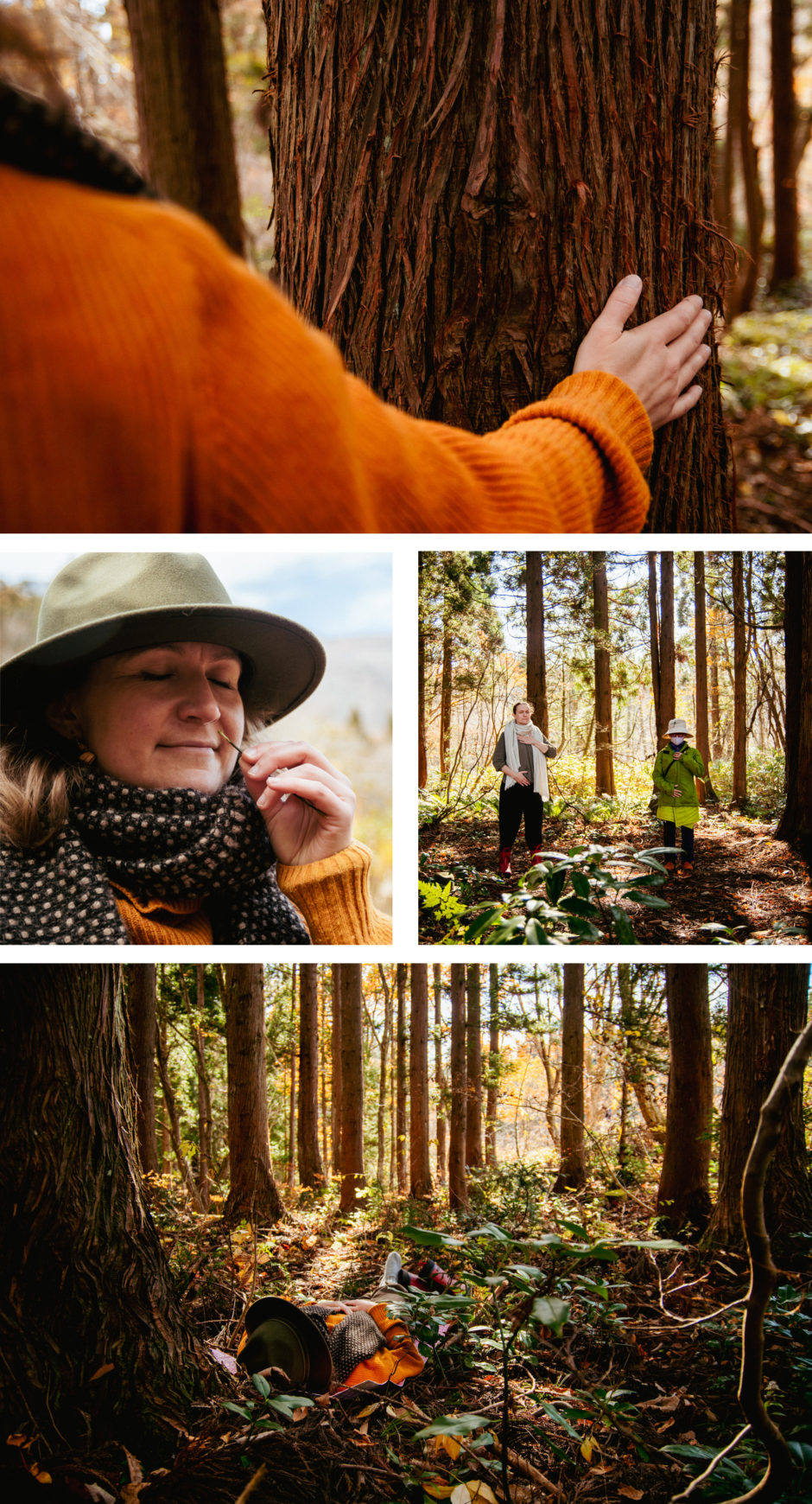 Shinrin-yoku - SaimaaLife