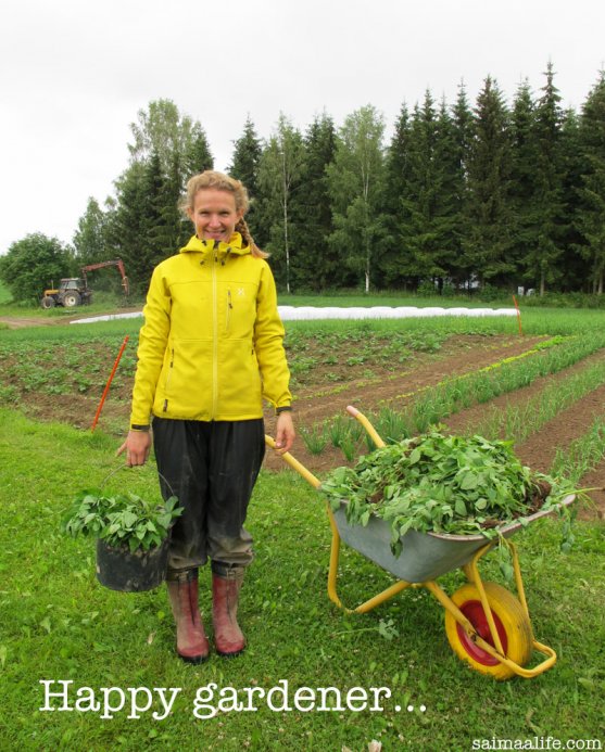 Relaxation By Working In The Vegetable Garden - SaimaaLife